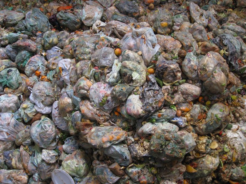 Anaerobic Digestion Plants